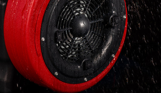 X - Series – gibbonsfans