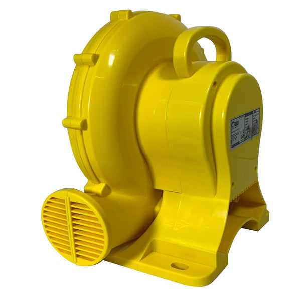 Collections – gibbonsfans